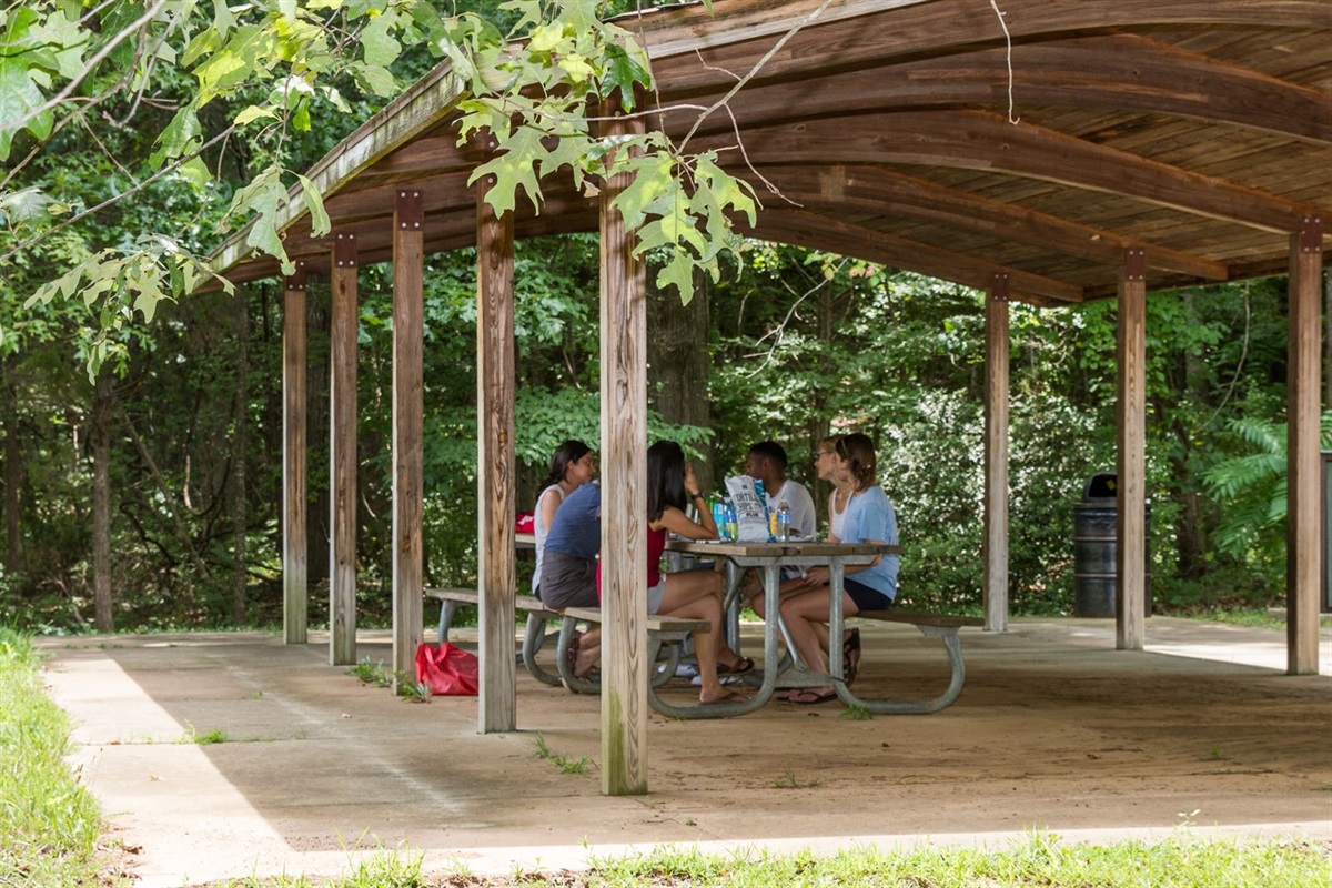 Picnic Shelters | Chapel Hill, NC